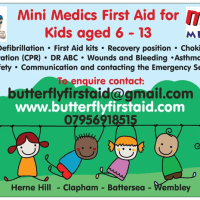 Butterfly First Aid, London | Educational Services - Yell
