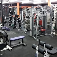 Muscle Hut, London | Leisure Centres - Yell