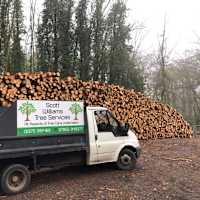 Scott Williams Tree Services, Tilbury | Tree Surgeons - Yell