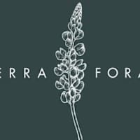 Terra Foras, Stonehaven | Gardeners - Yell