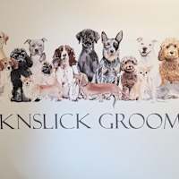 Lick N Slick Dog Grooming | Dog & Cat Grooming - Yell