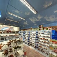 Wonderland Models, Edinburgh | Model Shops - Yell