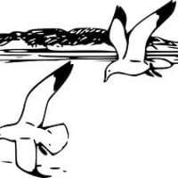 Sea View Chalet, Ferryside | Caravan Parks - Yell