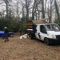 WGS Tree Services, Fareham | Tree Surgeons - Yell