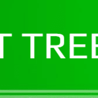 Nt trees | Tree Surgeons - Yell