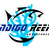 Indigo Reef Adventures Ltd, Edinburgh | Fishing Tackle - Yell
