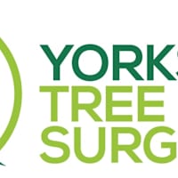 Yorkshire Tree Surgery, Hull | Tree Surgeons - Yell