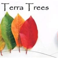Terra Trees, Lowestoft | Tree Surgeons - Yell
