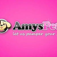 Amys Pets - Let us pamper your pets, Middlesbrough | Dog & Cat Grooming ...