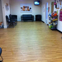 Kirks Vets, Sleaford | Vets - Yell