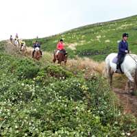 Goonbell Riding Centre, St. Agnes | Riding Schools - Yell