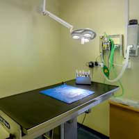 Tameside Veterinary Clinic, Hyde | Vets - Yell