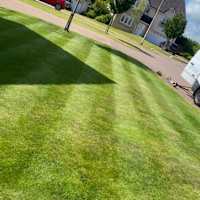 Douglas Croll Garden Maintenance, Auchterarder | Gardeners - Yell