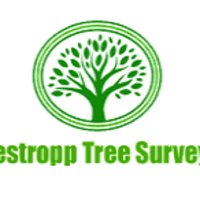 Westropp Tree Surveys, Grantham | Land & Hydrographic Surveyors - Yell