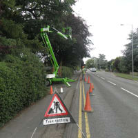 Castle Tree & Landscaping, Kettering | Tree Surgeons - Yell