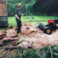 Tree Tops Logging, Perth | Tree Surgeons - Yell