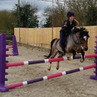 Hartwell Riding Stables Ltd, Aylesbury | Riding Schools - Yell