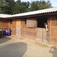 Stratton Field Livery Stables, Bicester | Stables - Yell
