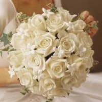 Williamson Design Florist Ltd, Kinross | Florists - Yell