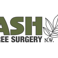 Ash Tree Surgery, Caernarfon | Tree Surgeons - Yell