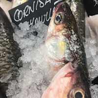 The Fish Shop, Camberley | Fishmongers - Yell