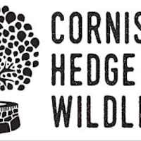 Cornish Hedge & Wildlife, Helston | Stonemasons & Drystone Wallers - Yell