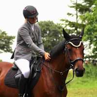 Wapley Stables, Bristol | Riding Schools - Yell
