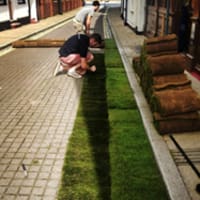 Oakley Turf Farms, Harwich | Turf & Soil Supplies - Yell