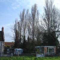 Luke Spencer Tree Surgery, Chard | Tree Surgeons - Yell