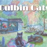 Culbin Cats, Forres | Catteries - Yell