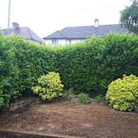 Tr33 Ltd | Tree Surgeons - Yell