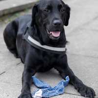 Natterjacks Vet, Poole | Vets - Yell