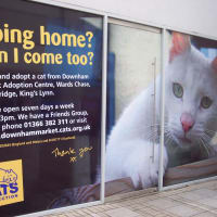 Kings Lynn Signs, King's Lynn | Sign Makers - Yell