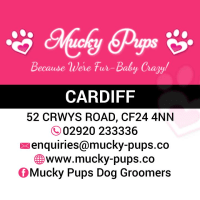 Mucky Pups, Cardiff | Dog & Cat Grooming - Yell