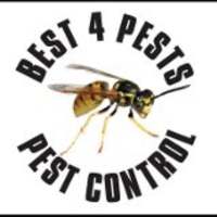 Best 4 Pests | Pest & Vermin Control Services - Yell