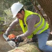 Nicolas Forester Ltd | Tree Surgeons - Yell