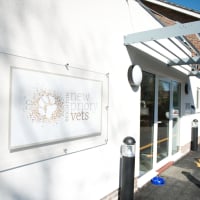 New Priory Vets Brighton Ltd, Brighton | Vets - Yell