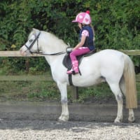 Pevlings Farm Riding & Livery Stables, Templecombe | Riding Schools - Yell