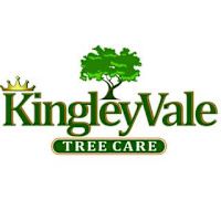 Kingley Vale Tree Care, Chichester | Tree Surgeons - Yell