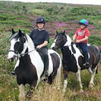 Goonbell Riding Centre, St. Agnes | Riding Schools - Yell
