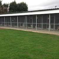 Acorn Lodge Luxury Boarding Kennels & Cattery, Peterborough | Dog ...