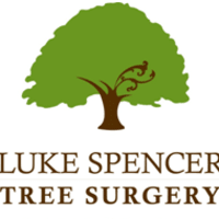 Luke Spencer Tree Surgery, Chard | Tree Surgeons - Yell