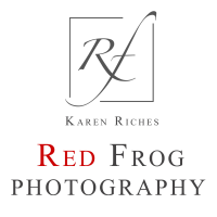 Red Frog Studio Photography, Leyland | General Photographers - Yell