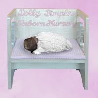 Dolly Dimples Reborn Nursery, Glasgow | Dolls & Dolls' Houses - Yell