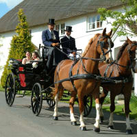 Highsteppers, Dorchester | Wedding Cars - Yell