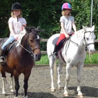 Clack Mill Riding Stables, Bristol | Riding Schools - Yell