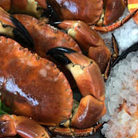 The Fish Shop, Camberley | Fishmongers - Yell