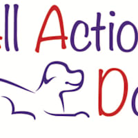 All Action Dog, Bures | Dog Trainers - Yell