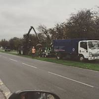Tr33 Ltd | Tree Surgeons - Yell