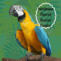Birdman Parrot Rescue Centre, Blackpool | Animal Welfare Societies - Yell